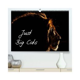 Calvendo Wandkalender Just Big Cats (Premium-Calendar 2023 DIN A2 Landscape)