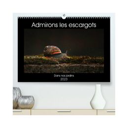 Calvendo Wandkalender Admirons les escargots (Calendrier supérieur 2023 DIN A2 horizontal)