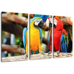 Pixxprint Leinwandbild Zwei Papageien auf einem Ast