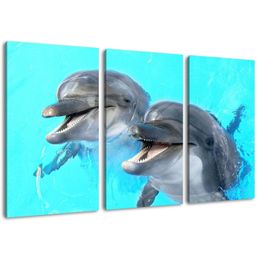 Pixxprint Leinwandbild Delfinpaar