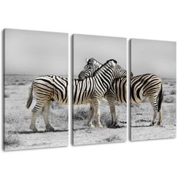 Pixxprint Leinwandbild Zebras in der Savanne