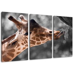 Pixxprint Leinwandbild Hungrige Giraffe mit Zweig