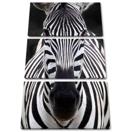 Pixxprint Leinwandbild Zebra Porträt