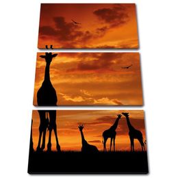 Pixxprint Leinwandbild Afrika Giraffen im Sonnenuntergang