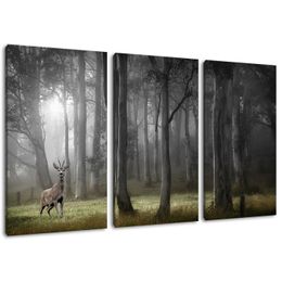 Pixxprint Leinwandbild Hirsch im Wald