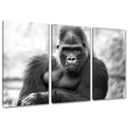Pixxprint Leinwandbild gelangweilter Gorilla Kunst B&W
