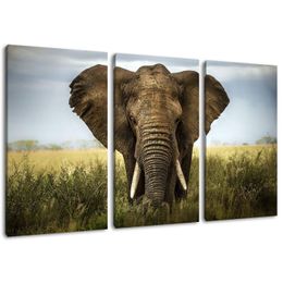 Pixxprint Leinwandbild Imposanter Elefant