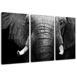 Pixxprint Leinwandbild Elefant Porträt