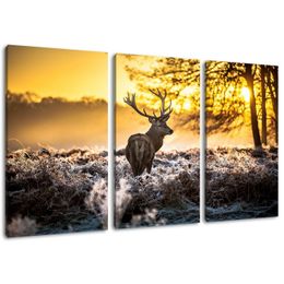 Pixxprint Leinwandbild Hirsch im Wald