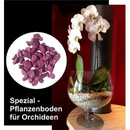colomi Pflanzgranulat Spezial Pflanzboden für Orchideen