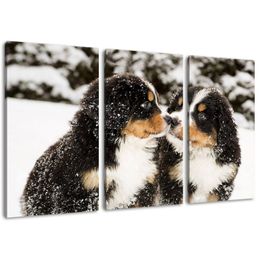 Pixxprint Leinwandbild Bernersennen Hunde Welpen