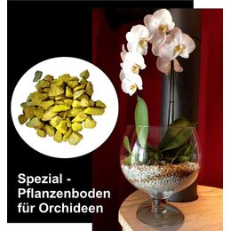 colomi Pflanzgranulat Spezial Pflanzboden für Orchideen
