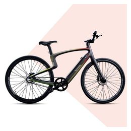 Urtopia E-Bike Sirius Lyra Rainbow sprachgesteuertes Voll-Carbon E-Bike Fahrrad smart