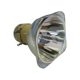 Philips Beamerlampe UHP 250/190W 0.8 E20.9 (9284 428 05390)