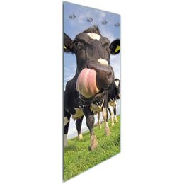 Wallario Wandgarderobe Lustige Kuh auf der Weide mit herausgestreckter Zunge (1-teilig