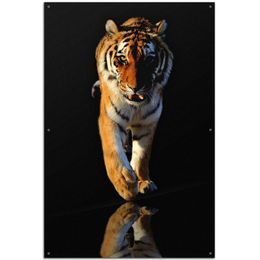 Wallario Sichtschutzzaunmatten Laufender Tiger