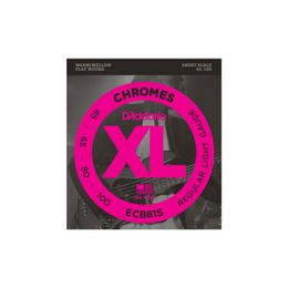 D'Addario Daddario Saiten, (ECB81S 45-100 Chromes Flatwound Stainless Steel)