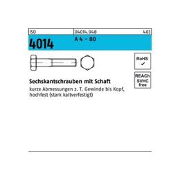 Reyher Sechskantschraube 100er Pack Sechskantschraube ISO 4014 Schaft M6x 120 A 4