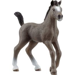 Schleich® Spielwelt Schleich® 13957 Horse Club Cheval de Selle Francais Fohlen 8 cm