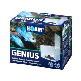 HOBBY Aquarium Genius Fischfalle