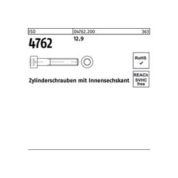 Reyher Zylinderschraube 100er Pack Zylinderschraube ISO 4762 Innen-6kt M27x 300 12.9 1 Stück