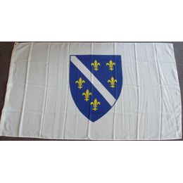 flaggenmeer Flagge Bosnien-Herzegowina bis 1998 80 g/m²