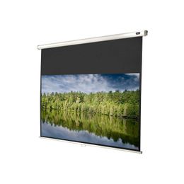 Celexon Economy Rolloleinwand (220 x 124cm