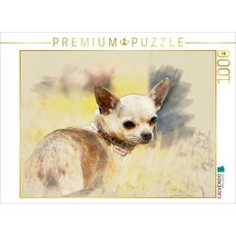 Calvendo Puzzle Calvendo Puzzle Chihuahuas 2017 1000 Teile Lege-Größe 64 x 48 cm Foto-Puzzle Bild von Andrea Redecker