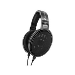 Sennheiser HD 650 Over-Ear-Kopfhörer (Sennheiser Wandlertechnologie