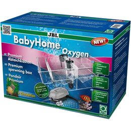 JBL GmbH & Co. KG Aquariendeko JBL Baby Home Oxygen Ablaichkasten mit Luftpumpe