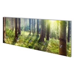 Wallario Wandgarderobe Sonnenuntergang im Wald zwischen den Bäumen (1-teilig