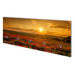 Wallario Wandgarderobe Mohnblumenwiese bei Sonnenuntergang am Abend (1-teilig