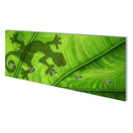 Wallario Wandgarderobe Gecko Schatten auf grünem Blatt