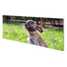 Wallario Wandgarderobe Kaninchen im Garten mit süßem Blick (1-teilig