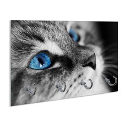 Wallario Schlüsselbrett Schwarz-weiß getigerte Katze mit leuchtend blauen Augen