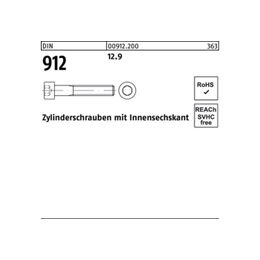 Reyher Zylinderschraube 100er Pack Zylinderschraube DIN 912 Innen-6kt M12x 12 12.9 100 Stück