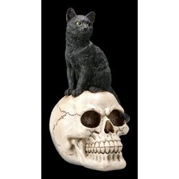 Figuren Shop GmbH Dekoobjekt Katzen Figur auf Schädel