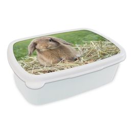 MuchoWow Lunchbox Kaninchen in grüner Landschaft