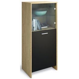 DOMANDO Standvitrine Vitrine Matera (1-St) Breite 53cm