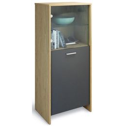 DOMANDO Standvitrine Vitrine Matera (1-St) Breite 53cm