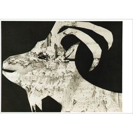 Postkarte Kunstkarte Pablo Picasso "Ziege mit Gipsabfall"