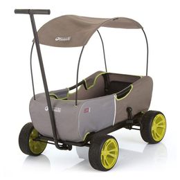 hauck Toys for Kids Bollerwagen Eco Mobil Forest Green