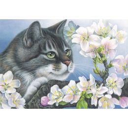 Rötting Design Malen nach Zahlen BASTELIDEE 5d Diamond Painting Set Motiv Katze im Blumenbouquet