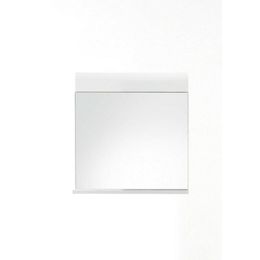 ebuy24 Badezimmerspiegelschrank SkinGloss Bad Spiegel weiß