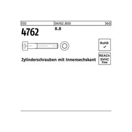 Reyher Zylinderschraube 100er Pack Zylinderschraube ISO 4762 Innen-6kt M8x 160 8.8 100 Stück