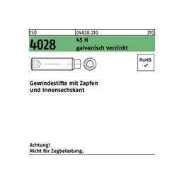 Reyher Gewindebolzen 100er Pack Gewindestift ISO 4028 Zapfen/Innen-6kt M16x40 45 H galv.ver