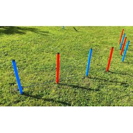 HMH Agility-Slalom Hunde Agility Slalom Set 4 Slalomstangen Tragetasche Hundesport Dog Activity Parcours Hundetraining Bewegung Kunststoffstangen mit Erdspieß Gehorsamkeitstraining Trainingsstangen