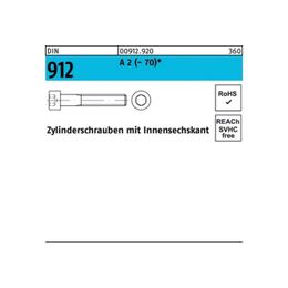 Reyher Zylinderschraube 100er Pack Zylinderschraube DIN 912 Innen-6kt M14x 100 A 2 (70) 1 St