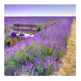 Levandeo® Glasbild, Levandeo Glasbild 30x30cm Wandbild Glas Lavendel Feldweg Landschaft