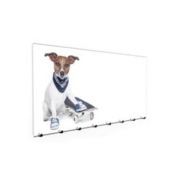 Primedeco Garderobenpaneel Magnetwand und Memoboard aus Glas Hund auf Rollbrett